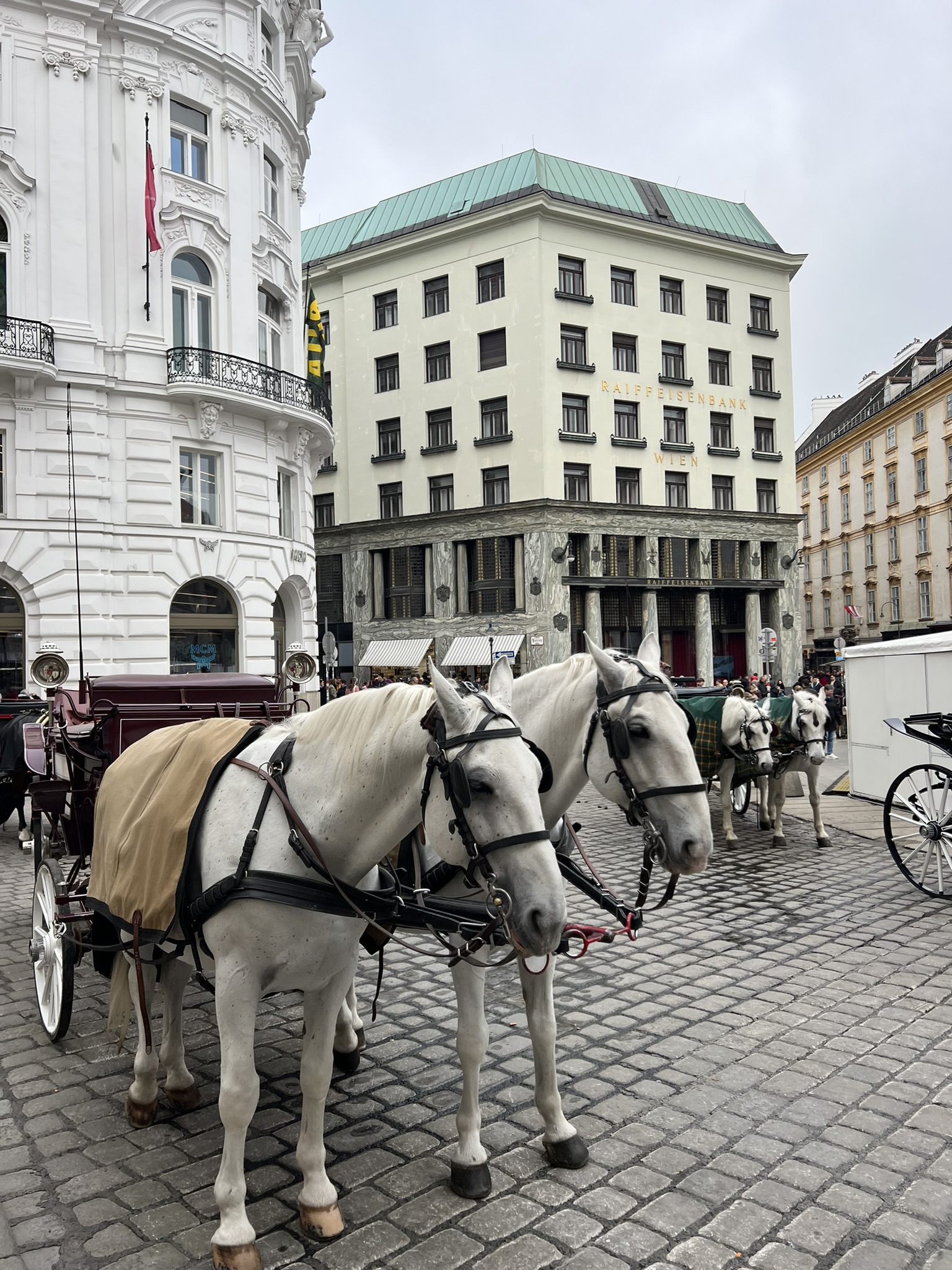 Vienna Travel Guide - Julia Travels